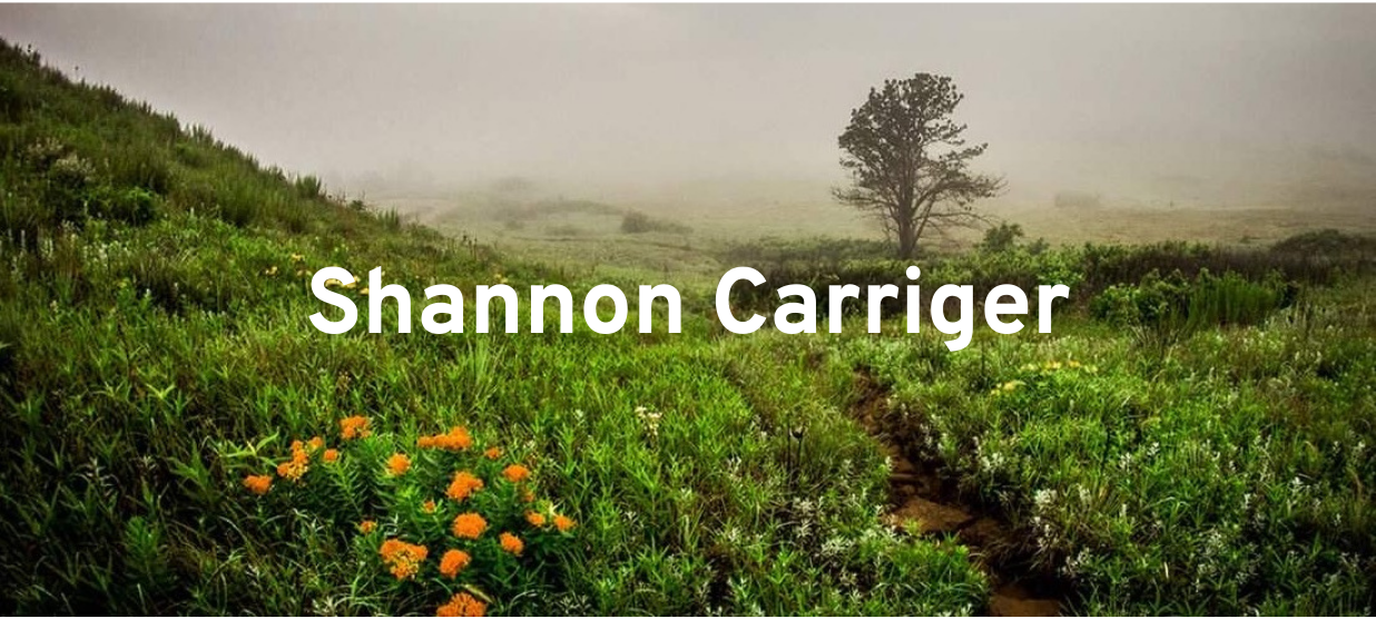 Shannon Carriger